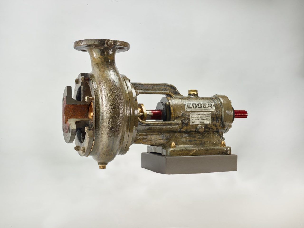 Swiss endurance runner | Egger Pumps